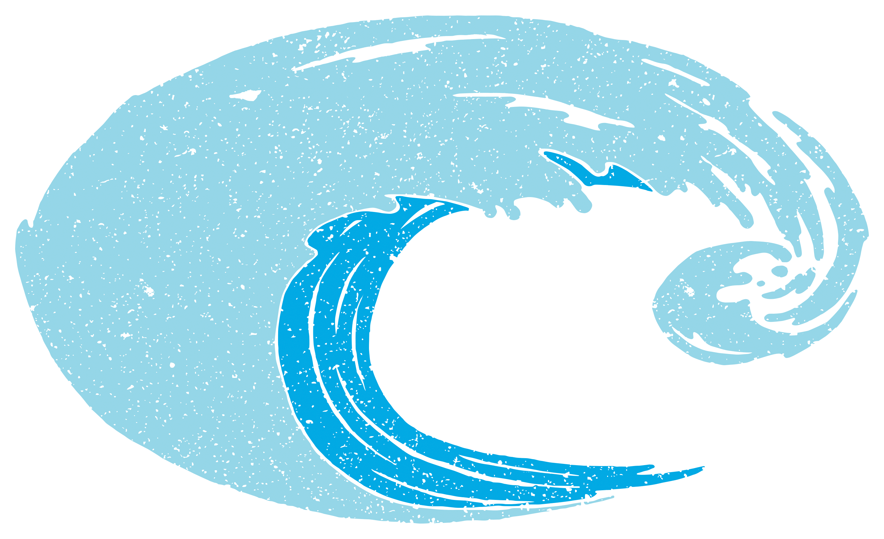 Costa Logo Wave Decal | Bass Pro Shops